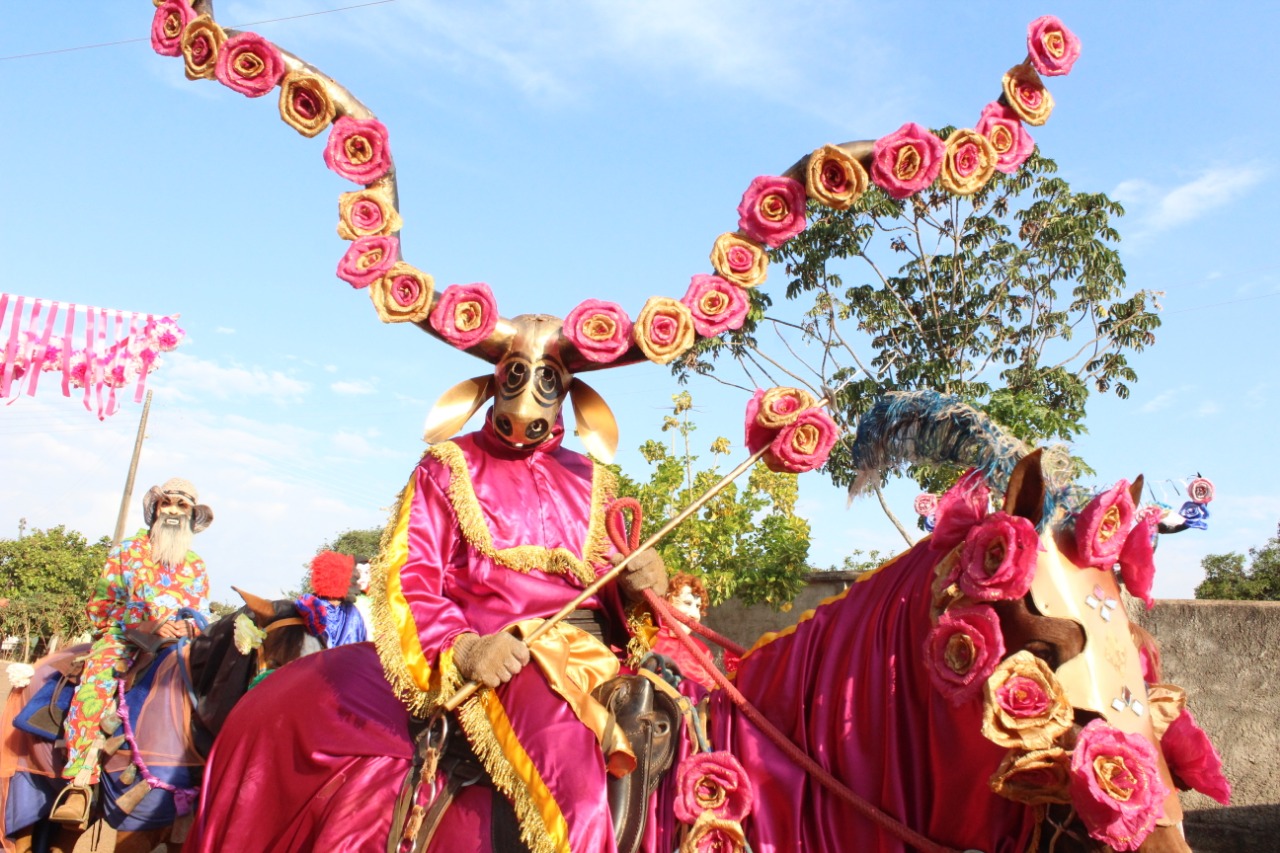 Dança Tipica De Goias - BRAINCP